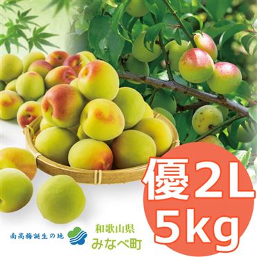 おうちでイオン イオンネットスーパー 【予約】和歌山県産JAわかやま（紀州地域本部） 南高梅 優 2L 5kg 1箱 ※40点限り 【6月13日~6月15日のお受取り】