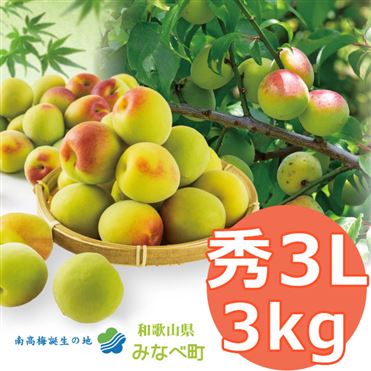 おうちでイオン イオンネットスーパー 【予約】和歌山県産JAわかやま（紀州地域本部） 南高梅 秀 3L 3kg 1箱 ※30点限り 【6月6日~6月8日のお受取り】